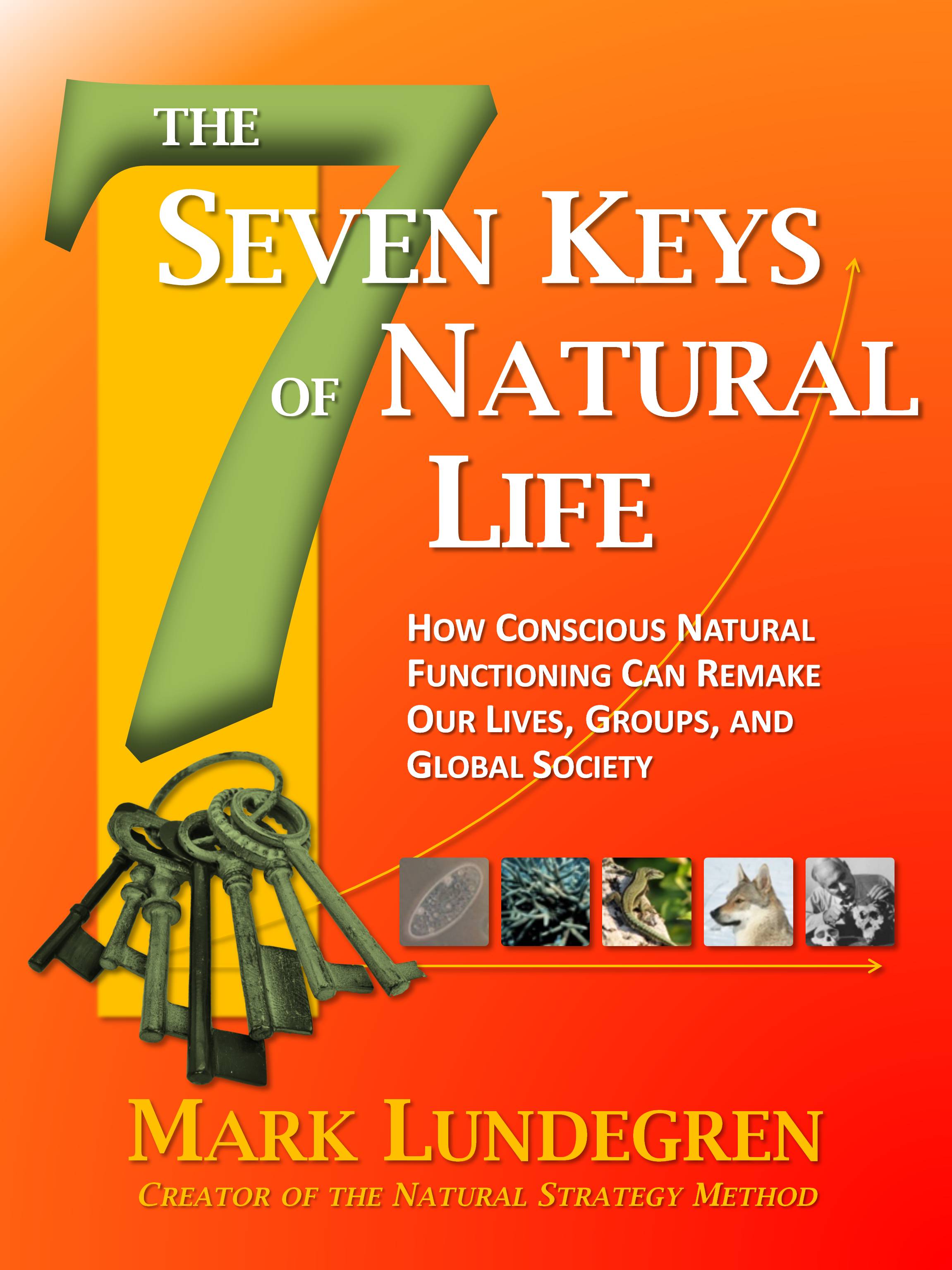 Review Of The Seven Keys – Mark Lundegren